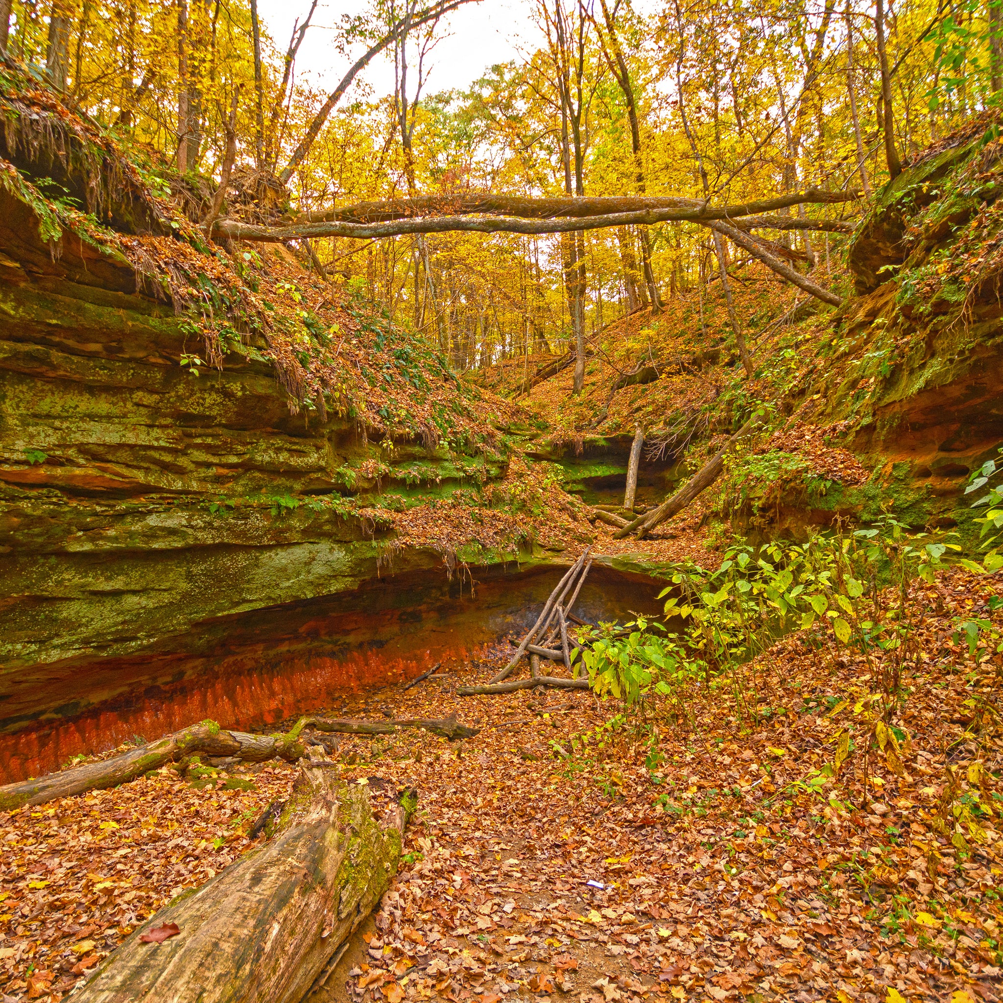 Wildcat Den State Park Visitors Guide